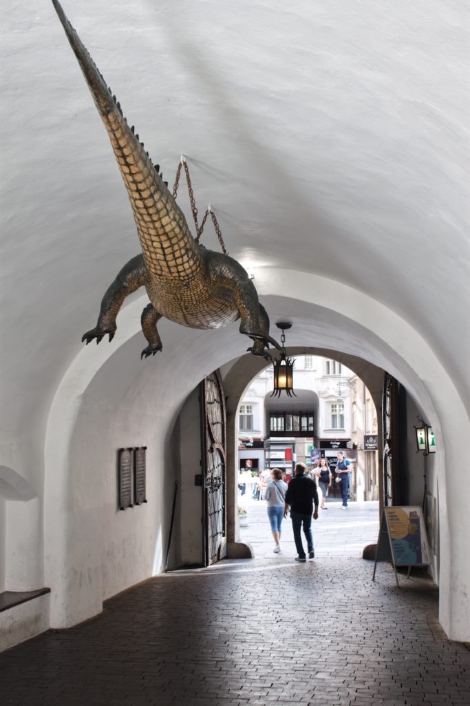Is It Real? The Brno Dragon In Czechia - cherylhoward.com